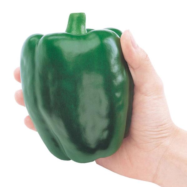 ●商品情報：ソフトボール大にもなるジャンボピーマン!! 肉厚で苦味少なく甘味が強いので、ピーマンが苦手な方にもおすすめです。赤くなった完熟果はさらに甘味が増し、サラダにぴったり。●果重（約）：200〜250ｇ●お届け状態：接木9cmポット苗...