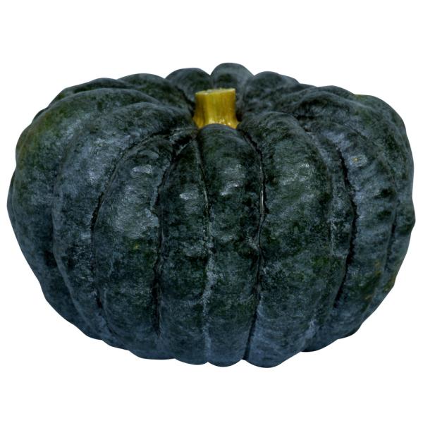 ●商品情報：日本料理に大活躍な、小ぶりの菊カボチャ。煮崩れしにくく、味がしみやすい！●果重（約）：700g●お届け状態：種子●入り数の目安：10mlあたり約10〜25粒入り※品種により差があります。●発芽適温：25〜30℃※発芽させるには播...