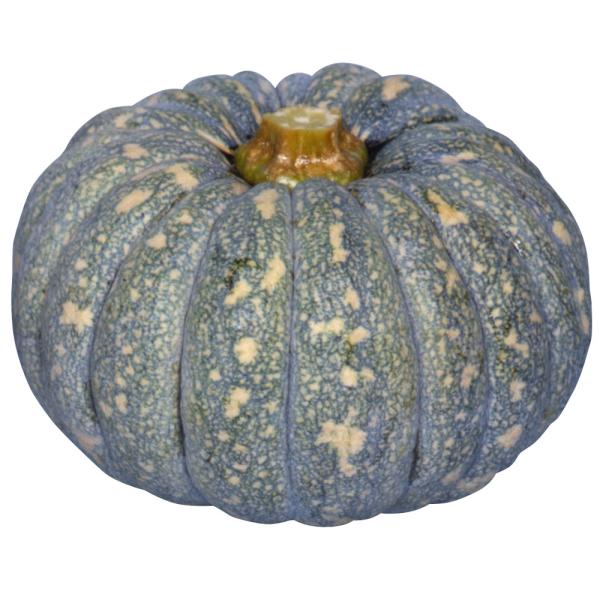 ●商品情報：甘味が高い小型南瓜！栽培簡単で果実の揃いよく豊産性。●果重（約）：900g●お届け状態：種子●入り数の目安：10mlあたり約10〜25粒入り※品種により差があります。●発芽適温：25〜30℃※発芽させるには播種床を上記の温度にし...