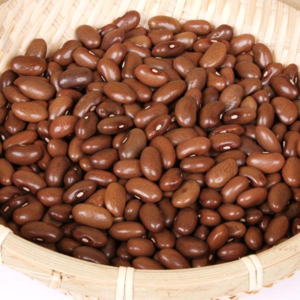 ●商品情報：甘味・風味申し分なし。●早晩性：中早生●莢長（約）：16cm●つるの有無：つるあり●お届け状態：種子●入り数の目安：50mlあたり約100〜150粒入り※入り数は目安です。品種により差があります。●発芽適温：25〜30℃※発芽さ...