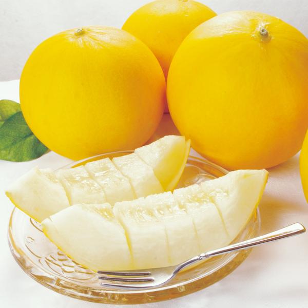 ●商品情報：サクッとした食感とまろやかな甘さで、暑い夏にぴったりの爽やかさ!! 雌花の着生・着花が安定していて、露地栽培も可能。果肉は淡白緑色で、糖度14〜15度と甘い。日持ち性も抜群です!●果重（約）：0.8〜1.2kg●糖度（約）：14...