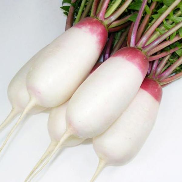 ●商品情報：首は鮮やかな赤色で、外皮は白〜淡桃色になるミニ大根。肉質は硬めでス入りが遅く、サラダや漬物に最適！ 抽苔が遅いので春まきも可能です。●根長（約）：20〜22cm●収穫までの日数（約）：50〜55日●お届け状態：種子●入り数の目安...
