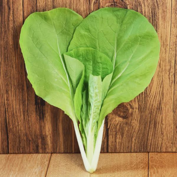 ●商品情報：耐暑・耐湿性に優れ、酷暑でも栽培可能。播種から約25日で収穫でき、レタスのように食べられる!●お届け状態：種子●備考：播種や植え付け後の栽培条件、天候等によりその結果が異なることがありますが、弊社の責と考えられる結果不良の責めは...