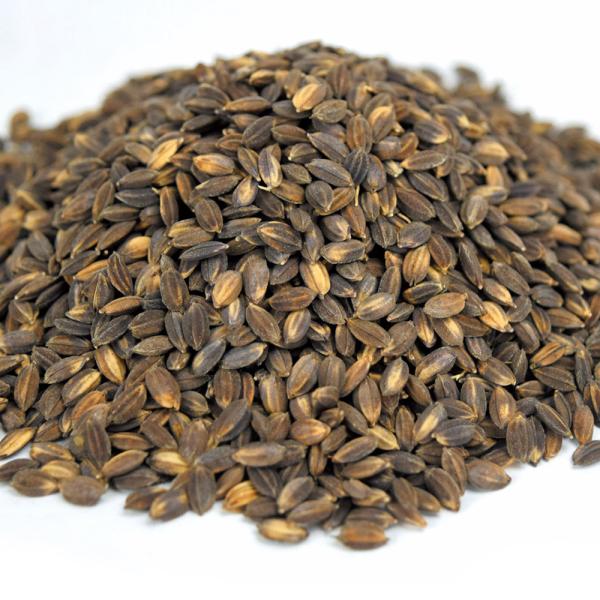 ●商品情報：噛むほどにもちもち甘いもち米の古代米! 緑の色素はクロロフィルに由来します。●種別：水稲（もち米）●お届け状態：種子●出穂期：9月2日●成熟期：10月16日●稈長：93cm●穂長：23.3cm※出穂期、成熟期は、地域・気候・土壌...