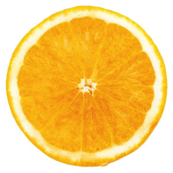 ●商品情報:別名「サマー清見」。じょうのうが薄く食べやすいのに加え、酸味が少なく、「清見」より甘くてジューシー! 果重約200〜250g。●お届け状態:接木1年生ポット苗●分類:常緑樹●実の収穫期(約):4月中旬〜5月●樹高(約):2.5〜...