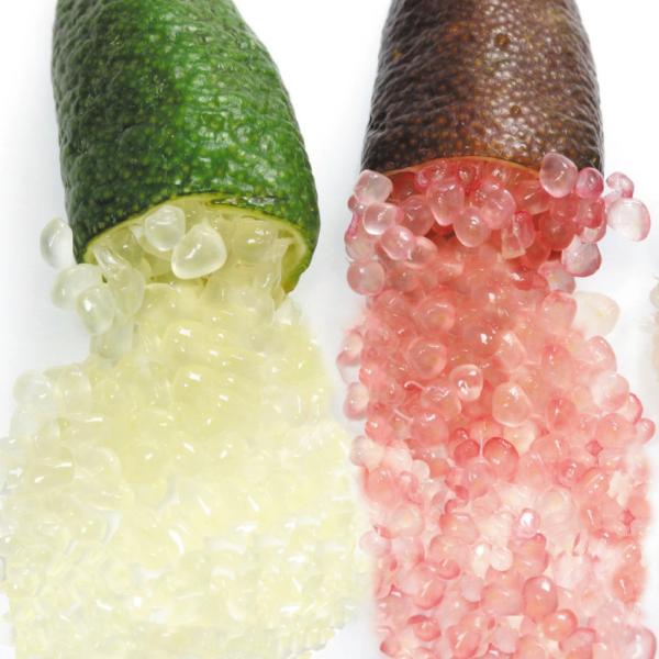 ●商品情報:オーストラリア原産の香酸カンキツ「フィンガーライム」。その特徴は何といっても、粒々とした形の果肉です。魚肉のようなその見た目から「森のキャビア」と呼ばれることも。指ほどの大きさの果実を切ると、丸い果肉がムクムクと溢れ出て、それは...