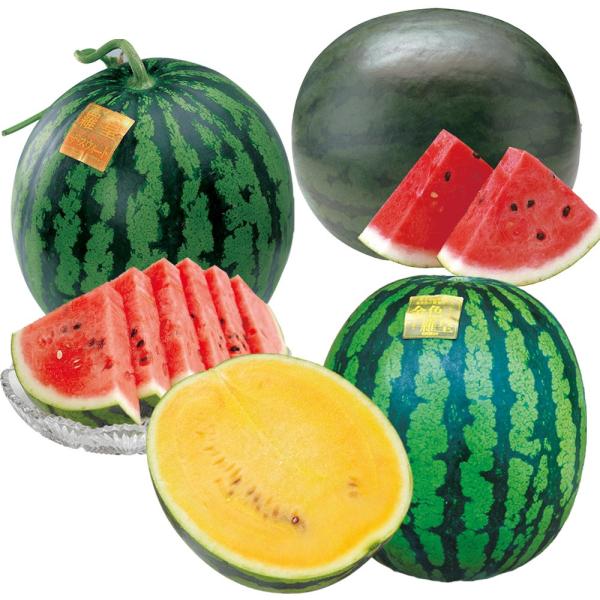 ●セット内容：F1ゴスペル 2株F1羅皇ザ・スウィート 2株F1金色羅皇PVP 2株●商品情報：●お届け状態：接木9cmポット苗●備考：※接木苗、特にウリ科植物(ゴーヤ・キュウリ・メロン・スイカ)は、台木から伸びる芽を注意して確認し、かき取...