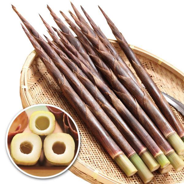 ●商品情報：秋にタケノコが採れ、「四方竹」の名の通り断面が四角になる面白い竹。高知県の特産品で、観賞用としても人気。●お届け状態 ：ポット苗●分類：多年草●耐寒性：中●日照：半日陰●収穫期：9〜11月●栽培ポイント：寒さに弱いため関西以北で...