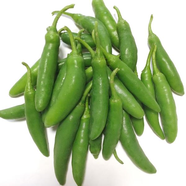 ●学名・英名：Capsicum annuum　Serrano●商品情報：メキシコでお馴染みのトウガラシ。ハラペーニョより辛く、生のままみじん切りにしてソースにしたり、サラダに添えたり、炒め物にも。ナス科 。●お届け状態：実生9cmポット苗●...
