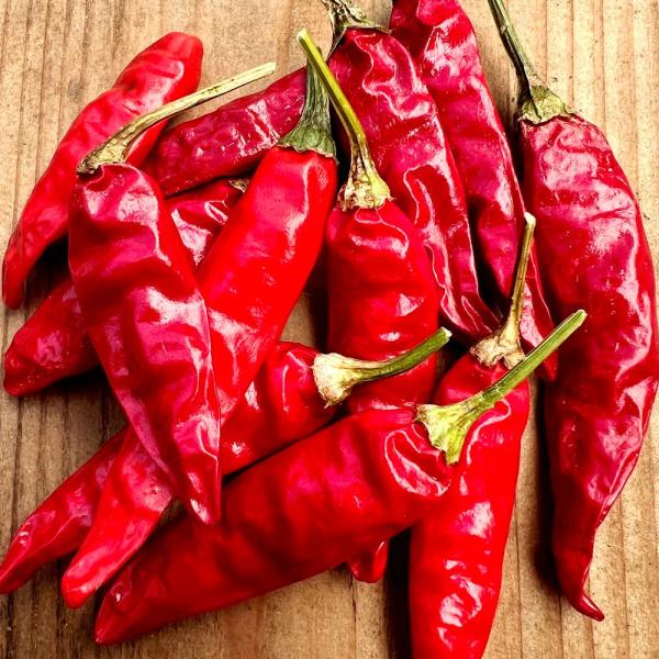 ●学名・英名：Capsicum annuum　Cabe Burung●商品情報：マレーシア料理には欠かせない小粒で辛味の強い唐辛子です。ナス科 。●お届け状態：実生9cmポット苗●果径(約)：2-4cm●スコヴィル値(辛さの単位)：50,0...