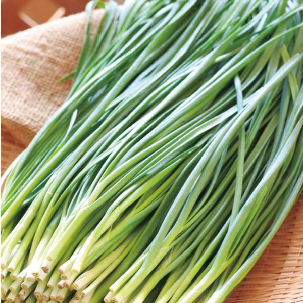●商品情報：ネギとニラの交配から生まれた新しい野菜「ネギニラ」！半月状の断面が特徴で、シャキシャキの食感とネギの甘味、そしてニラの香りが食欲をそそります。炒め物やギョウザの具にしたり、刻んで薬味にしても美味！プランターで簡単に育てられるので...