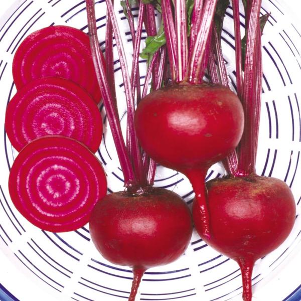 ●商品情報：ベビーリーフとして周年栽培可能。栄養分豊富な健康野菜。家庭で作れば、鮮度を損なうことなく、しかも美味しく食べられるのでとってもお得です。●お届け状態：種子●備考：播種や植え付け後の栽培条件、天候等によりその結果が異なることがあり...