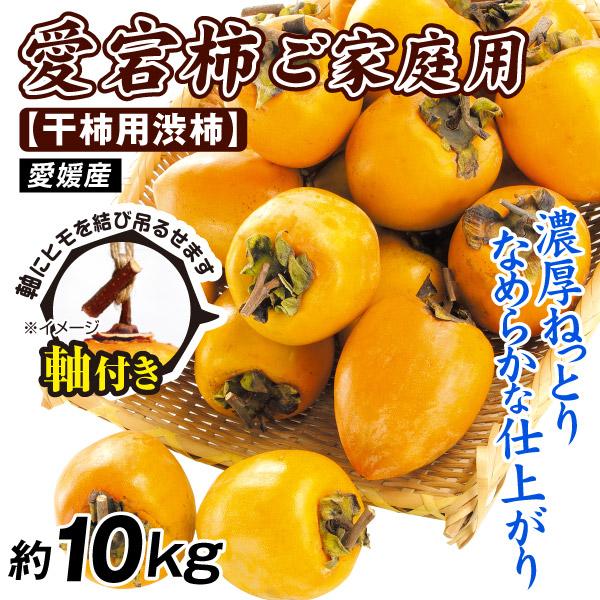 高級干し柿用品種・愛宕柿がお買得！キズやバラつき等……ちょっと訳ありのご家庭用ですが、大特価にてご提供いたします！名産地・愛媛の主力渋柿が大特価！本格的な味わいをご家庭で！日本有数の愛宕（あたご）柿の産地・愛媛県の逸品！西日本の瀬戸内周辺で...