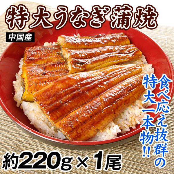 ●商品情報甘辛いタレでじっくりと焼き上げた本格派のうなぎの蒲焼きを、特別価格でご提供します。定番の丼はもちろん、細かく刻んでお茶漬けにするのも良し、卵焼きに入れてう巻きにするも良し……。幅広くお楽しみいただけます。●内容量　１尾220ｇ前後...