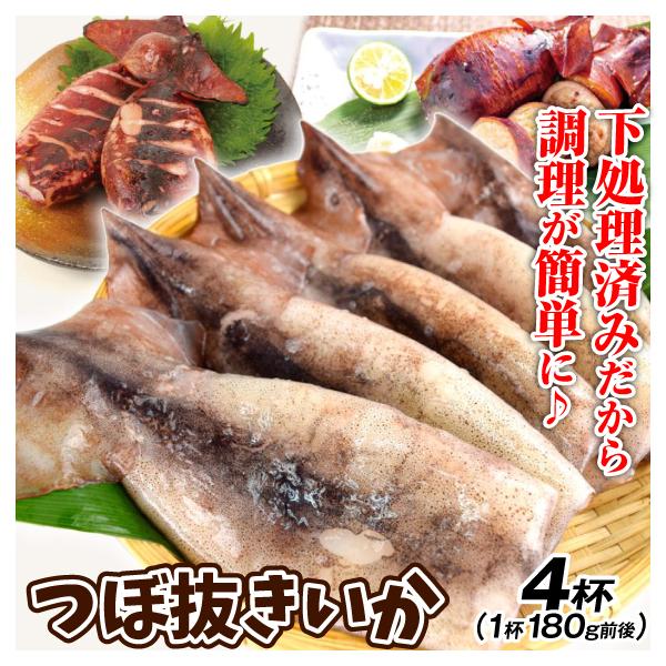 ●商品情報：予め内臓や下足を取り除いた、下処理済みの生イカ。お料理が簡単に！●内容量　1杯あたり180g前後×4杯●原産国　中国●賞味期間　6か月（冷凍）●配送温度　冷凍便●備考　※加熱してお召し上がりください。●送料：通常配送：送料無料北...