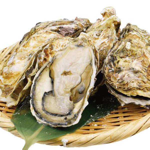 ●商品情報：そのままレンジで簡単調理できる殻付かき！旨味の詰まった濃厚な味わいを楽しめます。●内容量：1パック500g入り　約4〜8粒前後●原料原産地：宮城県●賞味期間：3か月（冷凍）●配送温度：冷凍便●備考：※加熱してお召し上がり下さい。...