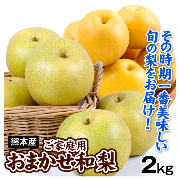 ●商品情報：火の国・熊本より。豊かな自然に恵まれ、太陽の光をたくさん浴びて育った梨は、ジューシーで甘味たっぷり！幸水・豊水・あきづき・新高・新興などの品種の中から、一番旬の品種をお届け！●産地：熊本県●規格・サイズ：-●入数の目安：2kgあ...