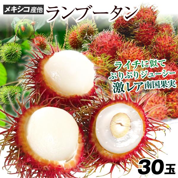 ●商品情報：奇抜な外観の熱帯果実ですが、ライチのように簡単に皮が剥けて、後を引かないさっぱりとした甘さが美味！特に「生」ならではの、プルプルの食感と果汁が格別です。●産地：メキシコ・ホンジュラスのいずれか（指定不可）●規格・サイズ：-●入数...