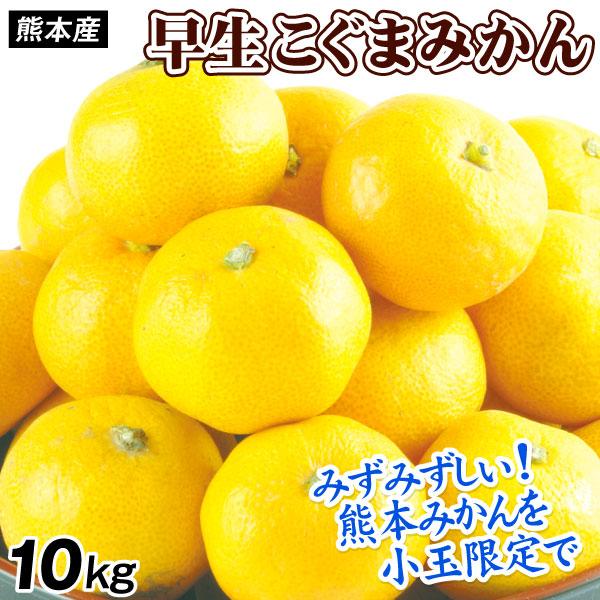 ●商品情報：小玉にギュッギュッと濃縮した甘味と旨み！旬を迎え綺麗に色づいた熊本みかんを、小玉サイズ限定でお届け。●産地：熊本県●規格・サイズ：3S〜S混合●入数の目安：-●配送形態：段ボール箱●配送温度：常温便●備考：※出荷時期により、早生...