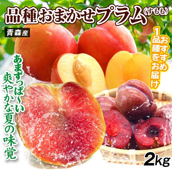 ●商品情報　甘〜い香りと濃厚な甘酸っぱさが特徴のプラム（すもも）。果汁たっぷりでスッキリした味わいが人気の夏を代表する果実です。●産地　青森県●入数の目安　-●配送形態　段ボール箱●配送温度　冷蔵便●備考　【品種・玉数指定不可】お届け時期に...