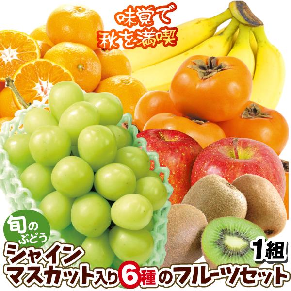 ●商品情報：皮ごと食べられる極甘「シャインマスカット」＋フルーツ5種(りんご・みかん・柿・キウイ・バナナ)！色々な果物が一度に楽しめる詰め合わせ。●産地：●規格・サイズ：-●入数の目安：-●配送形態：段ボール箱●配送温度：常温便●備考：【品...