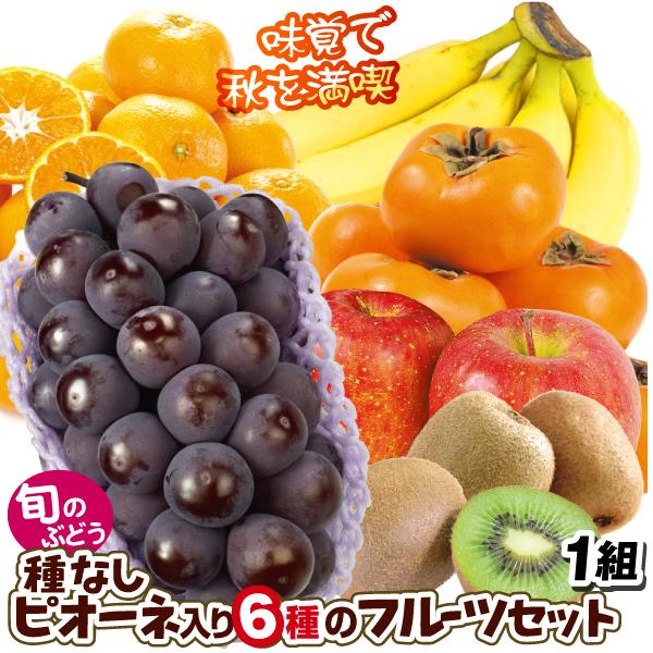 ●商品情報：濃厚で芳醇な甘みの「ニューピオーネ（種なしピオーネ）」＋フルーツ5種(りんご・みかん・柿・キウイ・バナナ)！色々な果物が一度に楽しめる詰め合わせ。●産地：●規格・サイズ：-●入数の目安：-●配送形態：段ボール箱●配送温度：常温便...