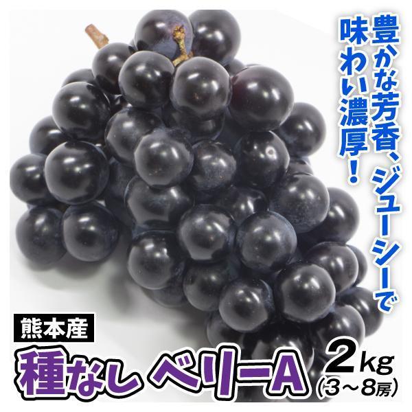 ●商品情報：甘味・酸味のバランスが絶妙！濃厚で芳醇な味わいの種なしぶどう。●産地　熊本県●規格・サイズ　-●入数の目安　2kgあたり3〜8房●配送形態　-●配送温度　冷蔵便●備考　※種なしですが、まれに種子が残る場合がございます。●送料：通...