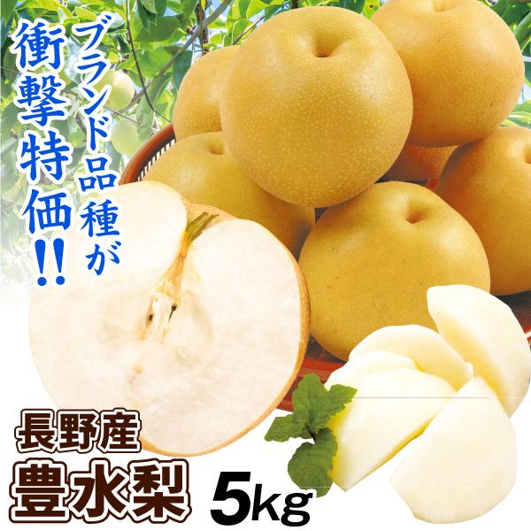 ●商品情報　シャリシャリと梨らしい食感の果肉に、甘味の強い果汁がたっぷり！優しい酸味が爽やかで大人気の定番品種！●産地　長野県●規格・サイズ　-●入数の目安　5kg（8〜24玉）●配送形態　段ボール箱●配送温度　常温便●備考　※ご家庭用とし...