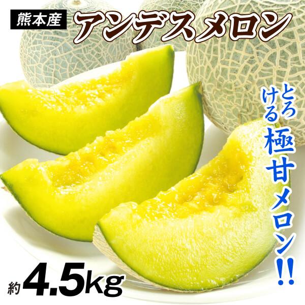●商品情報：高級ネットメロンにも劣らない濃厚な甘味と、なめらかな舌触りがたまらない！高品質なのにお手頃なメロンとして人気のアンデスメロンを、ご家庭用に大特価！●産地：熊本県●規格・サイズ：-●入数の目安：4.5kgあたり3〜9玉●配送形態：...