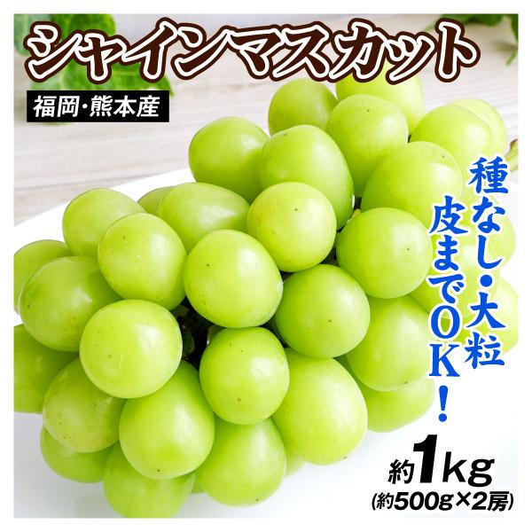 ●商品情報：「甘い・大きい・種なし」に加え、皮ごと食べられる究極理想のマスカット。糖度は20度近くあり、芳醇な香りとパリっと弾ける食感が大人気!!●産地：福岡県、熊本県のいずれか（指定不可）●規格・サイズ：-●入数の目安：約500ｇ×2房●...