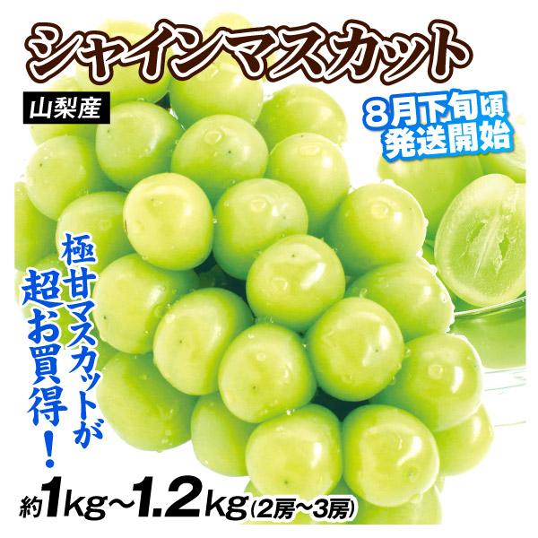 ●商品情報：「甘い・大きい・種無し」に加え、皮ごと食べられる究極理想のマスカット。糖度は20度近くあり、芳醇な香りとパリッと弾ける食感が大人気！！●産地：山梨県●規格・サイズ：-●入数の目安：約1kg〜1.2kg（2〜3房）●配送形態：段ボ...