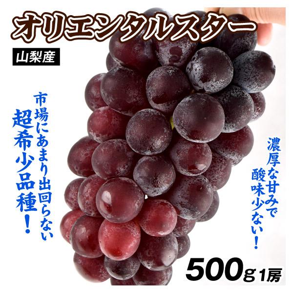 ●商品情報：市場にあまり出回らない超希少ぶどう！渋み少なく種なし、皮ごと食べられ、しっかりとした大粒の果肉。濃厚な甘みで酸味が少なくジューシー！●産地：山梨県●規格・サイズ：-●入数の目安：500g×1房●配送形態：段ボール箱●配送温度：常...