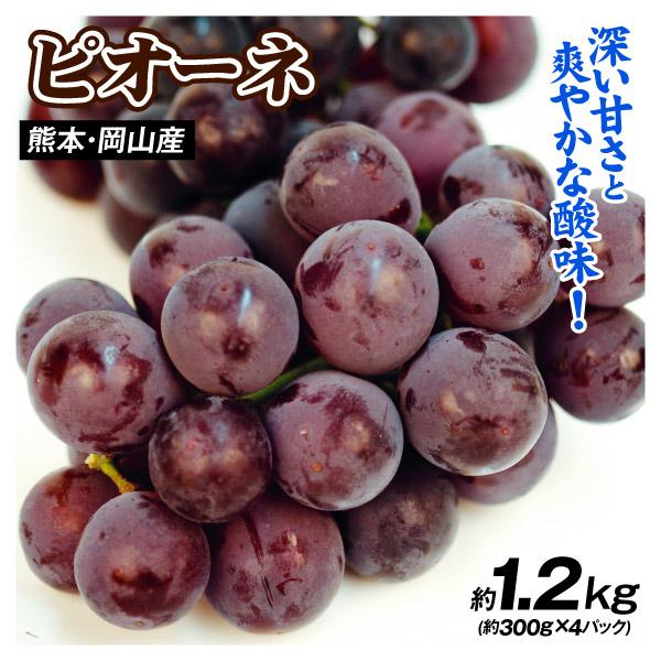 ●商品情報：巨峰を超える芳醇で濃厚な甘さ！大粒でプリっと締まった果肉が弾ける極甘ジューシー種なし黒ぶどう！●産地：熊本県・岡山県のいずれか（指定不可）●規格・サイズ：-●入数の目安：約300g×4パック●配送形態：段ボール箱●配送温度：常温...