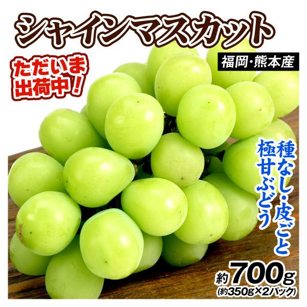●商品情報：★ただいま出荷中★「甘い・大きい・種なし」に加え、皮ごと食べられる理想のマスカット！糖度は20度近くあり、豊かな芳香としっかりした食感が絶品です。●産地：福岡県、熊本県のいずれか（指定不可）●規格・サイズ：-●入数の目安：約35...