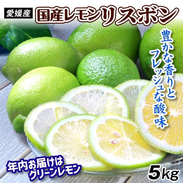 ●商品情報：爽やかな香りとキリッとした酸味。料理やドリンクに大活躍の「リスボンレモン」。「リスボンレモン」は、豊かな香りとフレッシュな酸味が魅力。果汁がたっぷりで香り高く、お料理やお菓子作り、レモネードなど幅広い用途でお使いいただけます。皮...