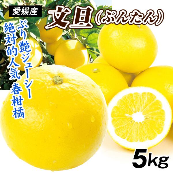 ●商品情報：プリップリの弾ける果肉とクセになるほろ苦さ！潮風・太陽・温暖な気候に恵まれたみかんの名産地・愛媛の逸品！●産地：愛媛県●規格・サイズ：無選別●入数の目安：-●配送形態：段ボール箱●配送温度：常温便●備考：※ご家庭用としてご用意い...