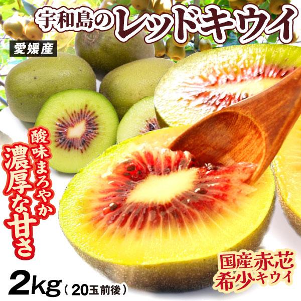 ●商品情報：黄緑の果肉の中心部分に放射状に赤色が広がり、コントラストが鮮やかなレッドキウイ。毛のないつるっとした果実は一般的な緑キウイより少し小ぶりながらも、酸味が非常に少なく、糖度も５度ほど高い約18度〜20度にもなる、抜群に甘くてコクの...