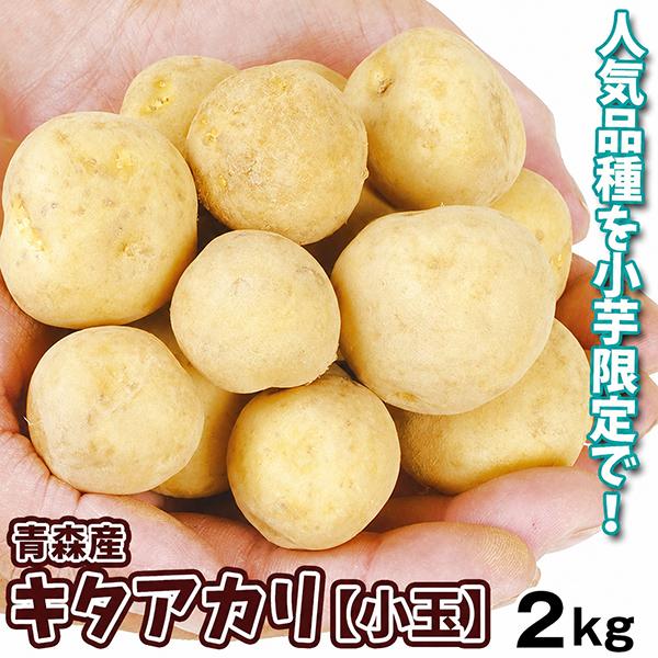 ●商品情報：男爵いものようなホクホク感のある黄色い果肉が特徴的で、“黄金男爵”とも呼ばれる、甘くて濃厚な味わいが美味しいじゃがいも。火の通りが早いので、レンジ加熱でも、じゃがバターやポテトサラダなどがほっくり美味しく作れます。小玉限定！●産...