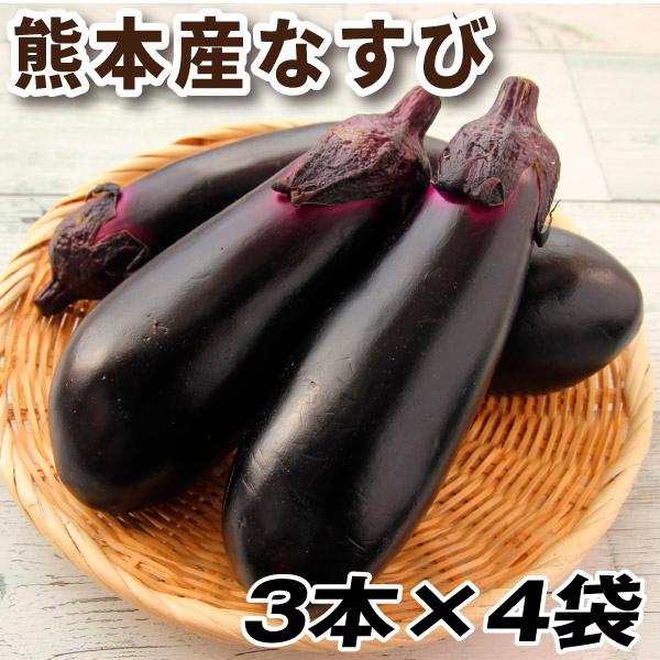 ●商品情報：夏野菜の名産地熊本の美味しいなすびをお届け。漬物、炒め物など様々な料理に大活躍！●産地：熊本県●規格・サイズ：-●入数の目安：3本●配送形態：段ボール箱●配送温度：常温便●備考：【サイズ指定不可】※ご家庭用としてご用意いたします...