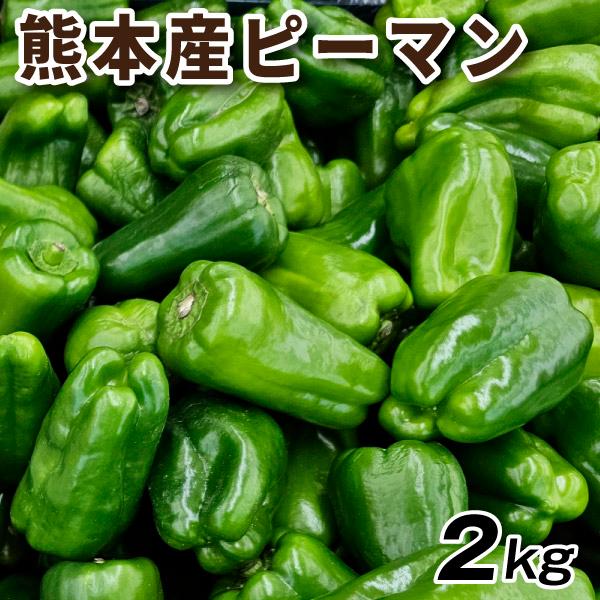 ●商品情報：夏野菜の名産地熊本の美味しいピーマンをお届け。炒め物など様々な料理に大活躍！●産地：熊本県●規格・サイズ：-●入数の目安：-●配送形態：段ボール箱●配送温度：常温便●備考：【サイズ指定不可】※ご家庭用としてご用意いたします。多少...