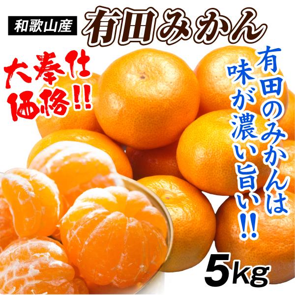 ●商品情報：和歌山県有田郡で作られる「有田みかん」は、抜群の評価と知名度を誇ります。みかん名産地の温暖な気候により、コク深くまろやかに熟したブランドみかんをご賞味ください。●産地：和歌山県●規格・サイズ：無選別（サイズ混合）●入数の目安：-...