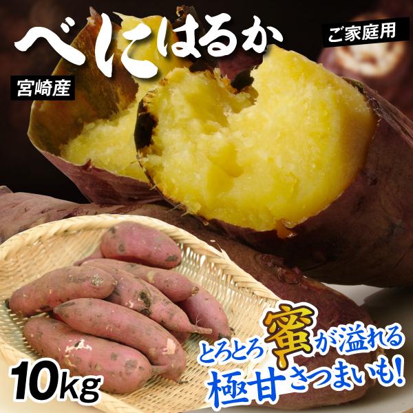●商品情報　従来の品種より「はるか」に美味しいと名付けられた、極甘＆濃厚な絶品サツマイモ！焼きいもにすると蜜が溢れる、人気急上昇中のしっとり系の極甘芋さつまいも！●産地：宮崎産●規格・サイズ：規格外●配送形態：段ボール箱●配送温度：常温便●...