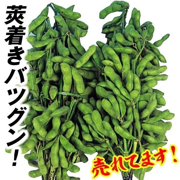 ●商品情報：魅力の大粒が房成りに！ 分枝数が多く、莢つき抜群の優秀品種!●早晩性：早生●お届け状態：種子●入り数の目安：30mlあたり約60〜90粒※品種により差があります。●発芽適温：25〜30℃※発芽させるには播種床を上記の温度にしてく...