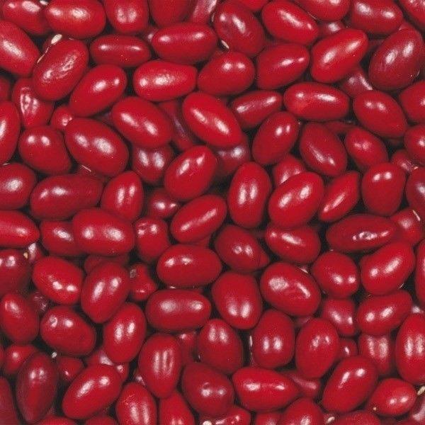 ●商品情報：煮豆や甘納豆でおなじみ！ 莢はや莢インゲンとしても美味。●つるの有無：つるなし●お届け状態：種子●入り数の目安：30mlあたり約120〜150粒※入り数は目安です。品種により差があります。●発芽適温：23〜25℃※発芽させるには...