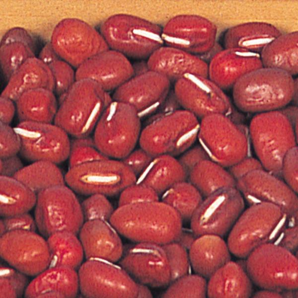 ●商品情報：赤飯・ぜんざいに！ 自家製のあんこ作りに。●莢長（約）：10cm●お届け状態：種子●入数の目安：30mlあたり約120〜150粒※入り数は目安です。品種により差があります。●発芽適温：18〜25℃※発芽させるには播種床を上記の温...