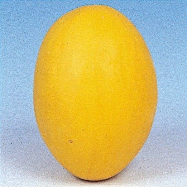 ●商品情報：強健で家庭菜園でも比較的容易に栽培できます。肉は白く、爽やかな食味が美味しいです。懐かしいまくわ瓜の味を是非ご家庭でお楽しみください。●果重（約）：380g●糖度（約）：14度●お届け状態：種子●入数の目安：2mlあたり約30〜...