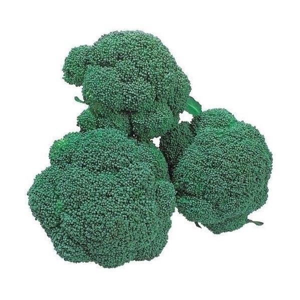 ●商品情報：生育旺盛で病気に強く作りやすい。側枝も出るお得品種！ 長く楽しめます。●収穫部分：頂花蕾・側枝収穫●頂花蕾重（約）：250g●早晩性：中晩生●定植から収穫までの日数（約）：―※種まきから定植まで約30日●お届け状態：種子●入り数...