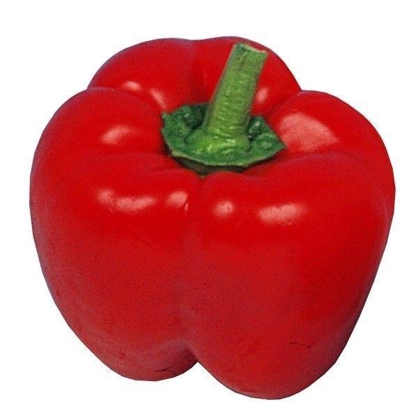 ●商品情報：強健で栽培容易な多収品種!肉厚で香り豊かな味わい。●果長（約）：8cm●早晩性：中生●お届け状態：種子●入り数の目安：1mlあたり約80〜100粒※品種により差があります。●発芽適温：25〜30℃※発芽させるには播種床を上記の温...