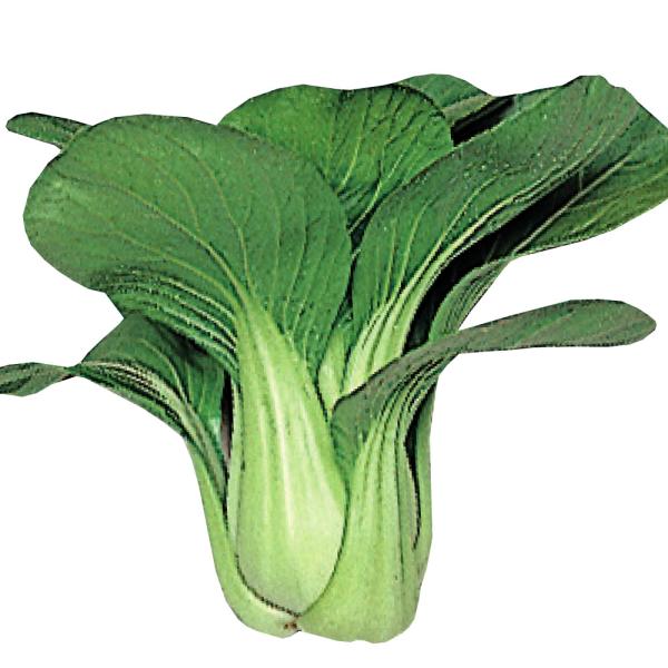 ●商品情報：株張り・揃いの良い優秀品種！●お届け状態：種子●備考：播種や植え付け後の栽培条件、天候等によりその結果が異なることがありますが、弊社の責と考えられる結果不良の責めはお買い上げ代金の範囲内とさせていただきます。また、果重・糖度など...