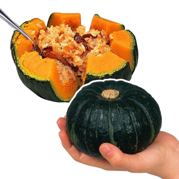 ●商品情報：甘味がギュッと詰まった、おすすめミニカボチャ！　強粉質で、味付けなしでも甘くて、皮まで丸ごと美味しく食べられます。しかも、βカロチンが他品種の約3〜5倍!　栄養満点!!多果性の豊産種です。●果重（約）：500g●開花から収穫まで...
